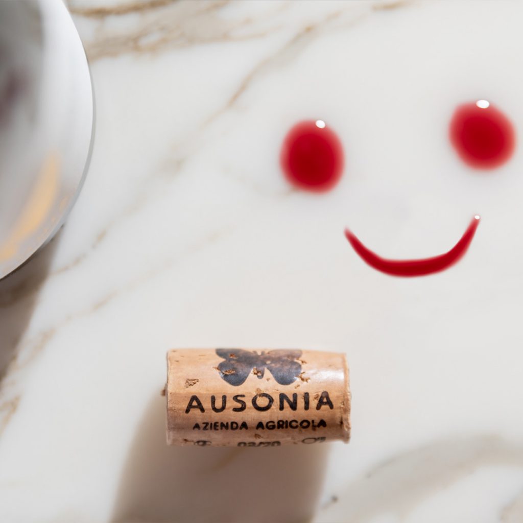 "Apollo" Wine Montepulciano D'Abruzzo D.O.P. - Italian Traditional Taste