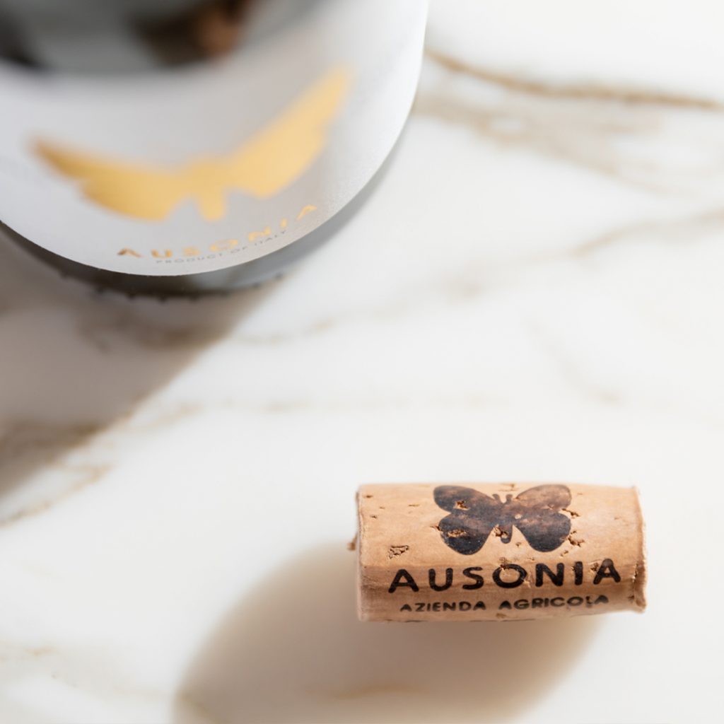 "Apollo" Wine Trebbiano D'Abruzzo D.O.P. - Italian Traditional Taste